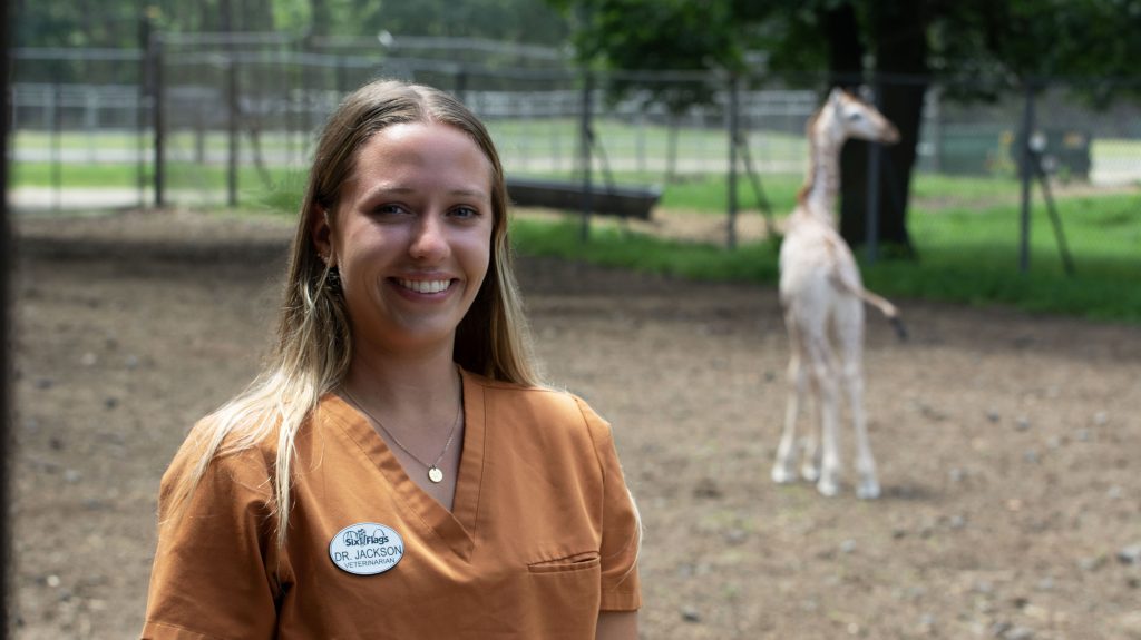 Baby Giraffe, New Local Veterinarian Welcomed at Great Adventure ...