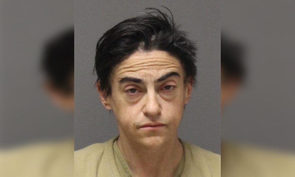 Brick Woman Pleads Guilty to Robbing Store, Shattering Window for ...