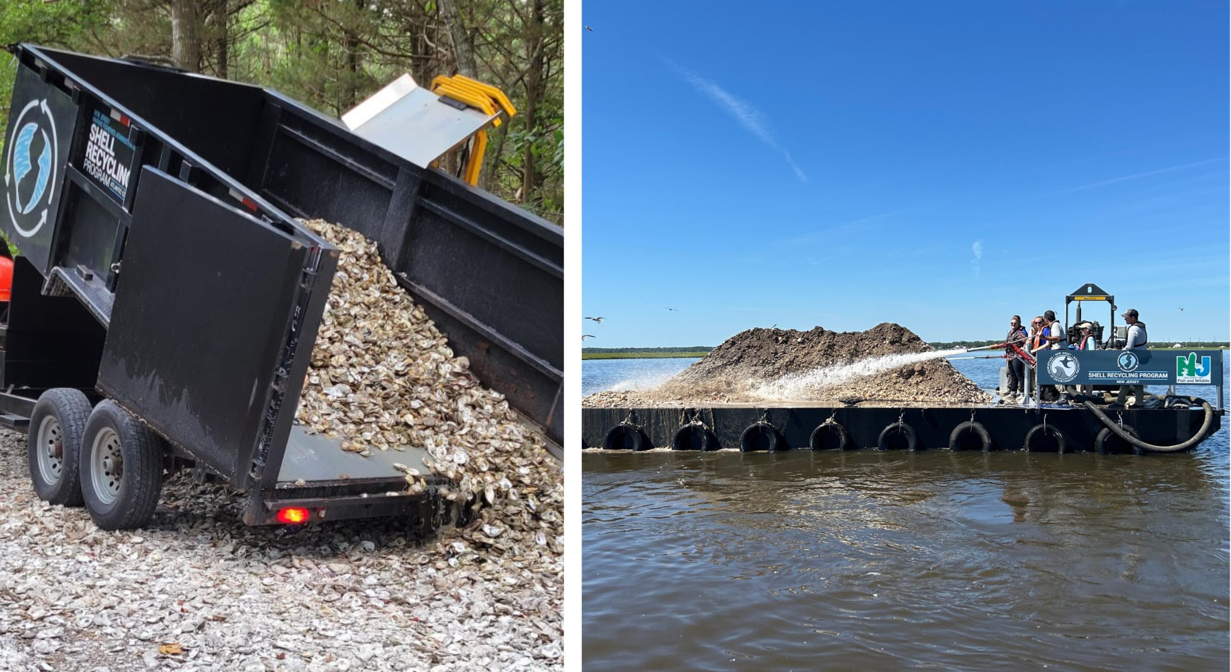 Local Restaurants’ Discarded Oyster Shells to be Repurposed for Reefs ...
